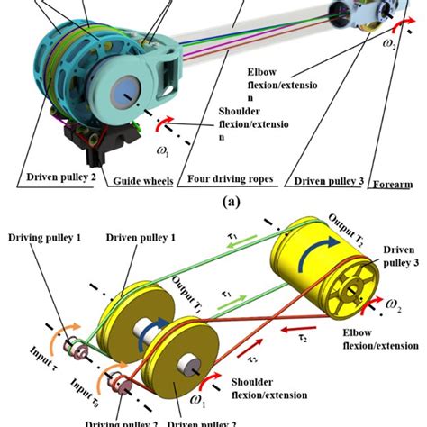 Pdf Design Of Reconfigurable Supernumerary Robotic Limb Based On Differential Actuated Joints