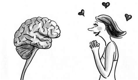 The Science Behind Sexual Selection The World Of Sciences