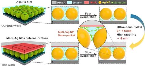Scientists Suggest Special Nano Pocket For Surface Enhanced Raman