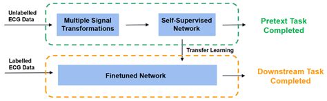 the framework of the proposed self−supervised network download