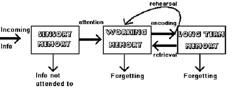 Model Of Human Information Processing System [2] Download Scientific Diagram
