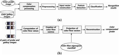 Overall Color Face Recognition Framework Coupled With The Proposed