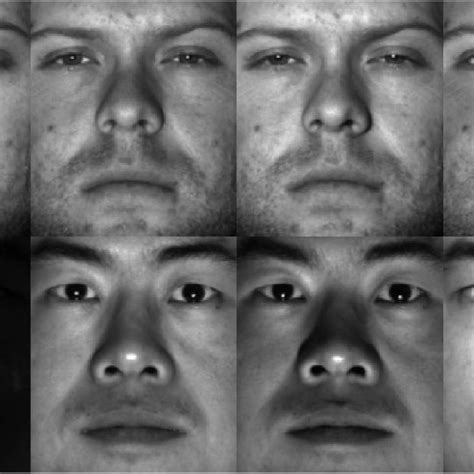 Example Images From The Ar Database Download Scientific Diagram