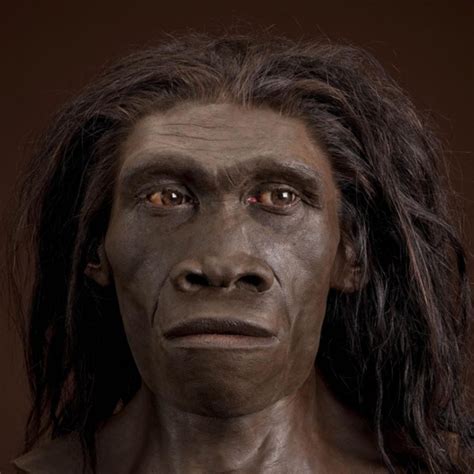 Homo Antecessor