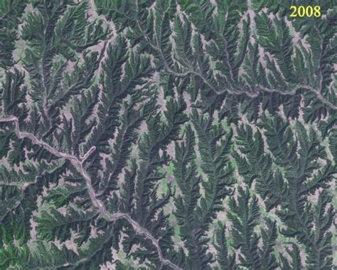 Chinas Afforestation Projects 🇨🇳 Rtankiesandtankinis