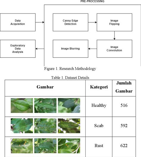 Figure 1 From The Use Of Data Augmentation And Exploratory Data