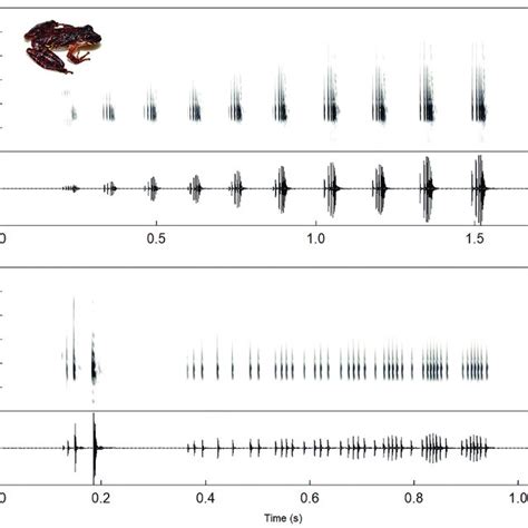 Spectrogram And Its Respective Oscillogram Of A A Type A