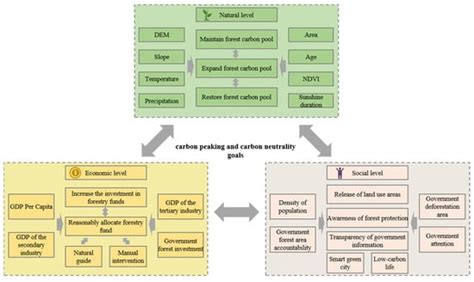How To Simulate Carbon Sequestration Potential Of Forest Vegetation A Forest Carbon