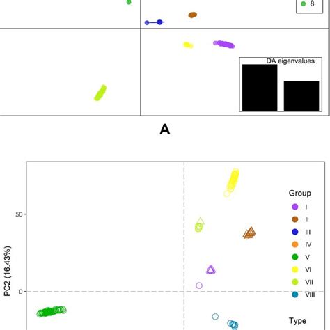 Dapc Scatter And Pca Plot Of The 234 Accessions A Dapc Scatter Plot