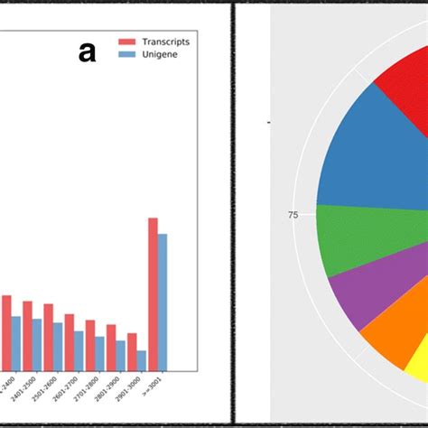 Assembly Result Sequence Length Distribution Map Of Transcripts And