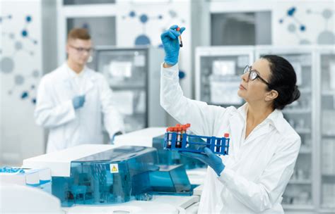 What S In A Laboratory Report