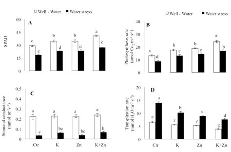 Impact Of Foliar Supplementary Applications Of K Zn And Their