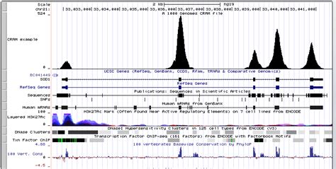 Genome Browser Cram Format