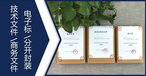 封标书怎么封图片封标书打包图片范本封标书大山谷图库