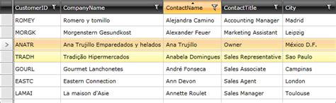 WPF DataServiceDataSource Sorting Through RadGridView Telerik UI For WPF