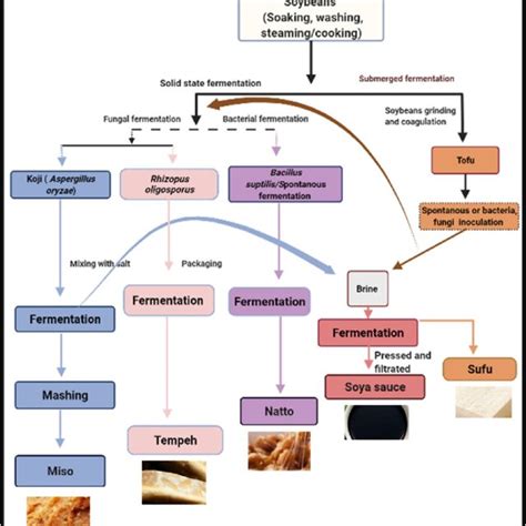 Pdf Soybean Fermentation Microbial Ecology And Starter Culture Technology