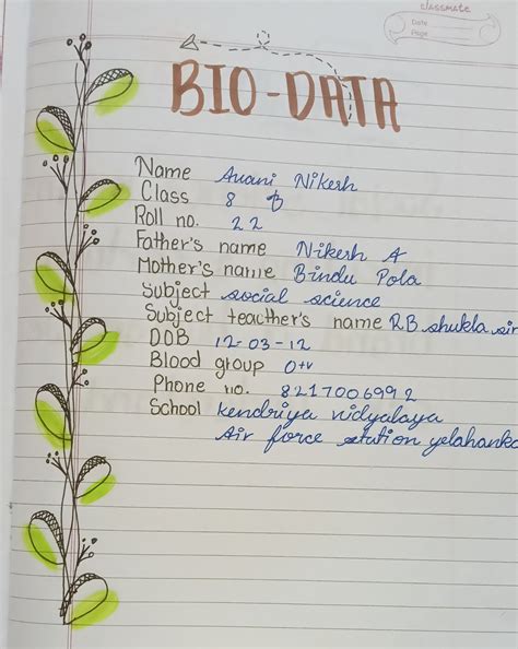 Biodata Design In 2025 Bio Data Teacher Name Social Science