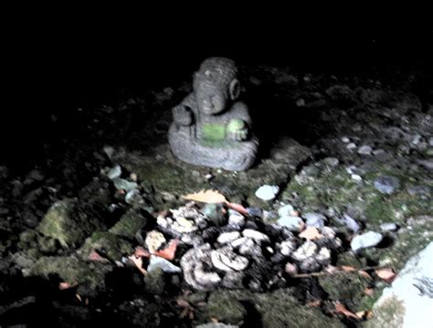 瑠璃け壺 Mtmasaoのブログ