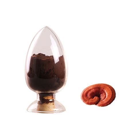 Organic Ganoderma Lucidum Wall Broken Spore Powder Ekowarehouse