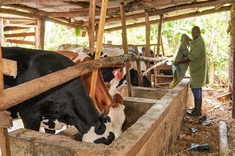 Hilti Scaling Up Project Hand In Hand Ea Kenya