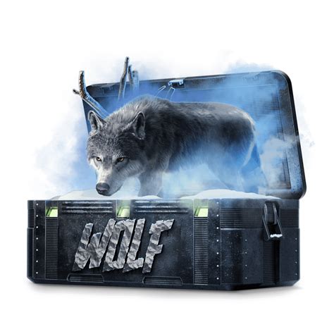 Csgo Net Open The Best Cs Go Cases
