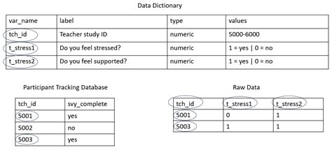 Chapter Data Cleaning Data Management In Large Scale Education Research