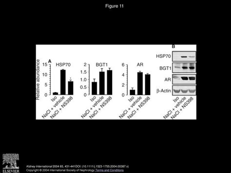 Volume Issue Pages February Ppt Download