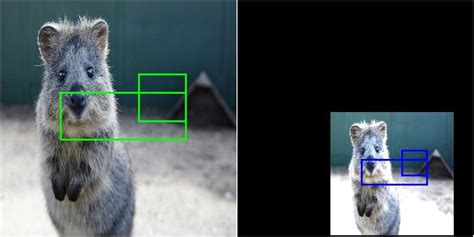 Examples Bounding Boxes — Imgaug 040 Documentation