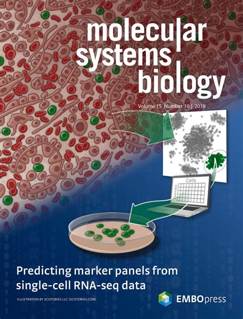 Combinatorial prediction of marker panels from single‐cell transcriptomic data | Molecular ...