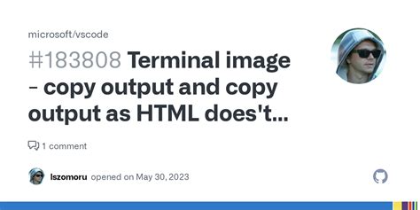 Terminal Image Copy Output And Copy Output As Html Doest Work · Issue 183808 · Microsoft