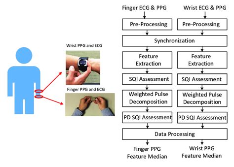 Acquisition Of Finger And Wrist Signals Left And Processing Flow