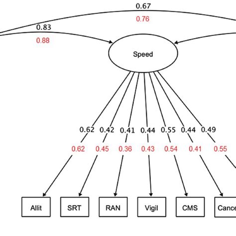 multigroup measurement model of cognitive dimensions the cognitive