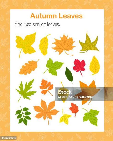 어린이를위한 두 가지 유사한 나무 잎 교육 활동 가을 가을 퍼즐 게임 재미와 여가 시간을위한 간단한 벡터 일러스트 레이 션 워크 시트 추수 감사절 휴일 축하 찾기 가을에