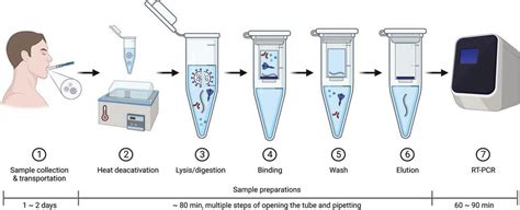Rapid At Home Molecular Diagnostics Is The Future Of Preventive Medicine Nexus Newsfeed