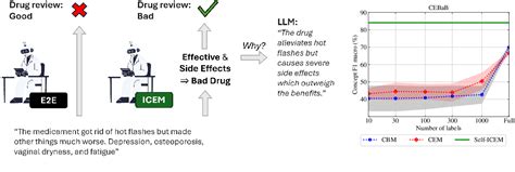 Figure 1 From Self Supervised Interpretable Concept Based Models For Text Classification