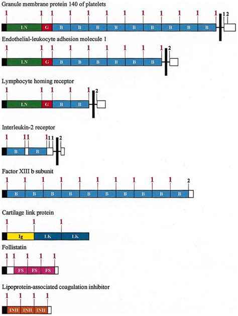 Genome Evolution And The Evolution Of Exon Shuzing A Review