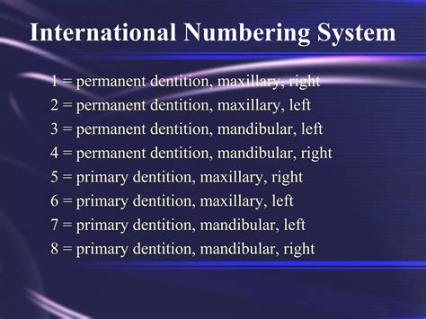 Tooth Morphology Basics PPT