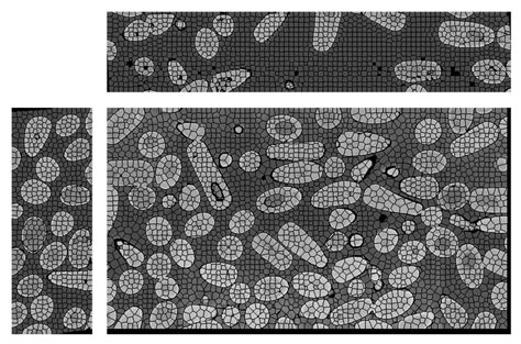 Planar Cross Sections Of Bacillius Subtilus Acquired With Focused Download Scientific Diagram