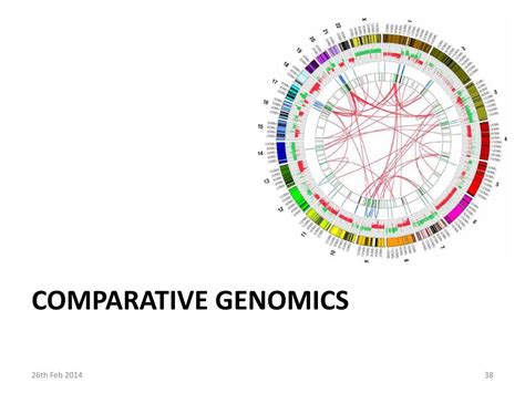 PPT Functional Annotation Comparative Genomics PowerPoint Presentation ID