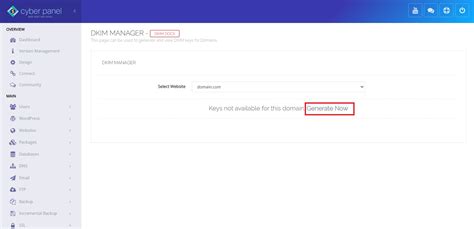 Error Generating And Getting DKIM Keys In CyberPanel WP Email Manager
