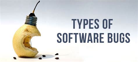 Types Of Bugs In Software Testing Qatestlab Blog