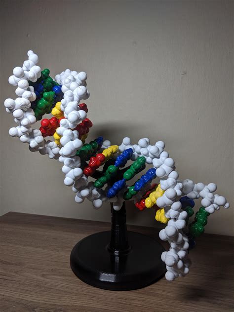 33 Hilarious Class A Basic Helix Loop Helix Protein 15 Puns