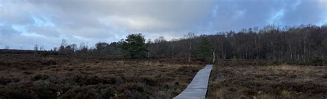 Killaun Bog Trail 10 Reviews Map County Offaly Ireland Alltrails