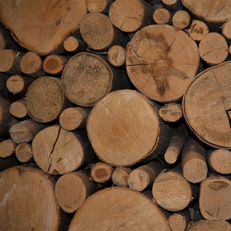 Log Design Photo Backdrop For Studio Use Printed On Vinyl Poly Paper Log Design Photo Backdrop For Studio Use Printed On Vinyl Poly Paper