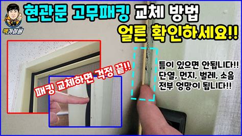 현관문 고무패킹 교체해서 단열 먼지 및 벌레 소음 다 잡아봅시다 Replace Door Rubber Packing