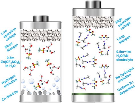 Dilute Aqueous Aprotic Electrolyte Towards Robust Zn Ion Hybrid Supercapacitor With High