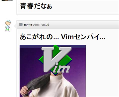 vim jpの活動報告