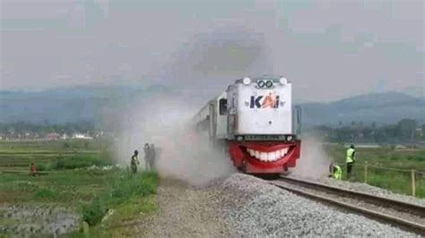 Open Mouthed Train On The Tracks
