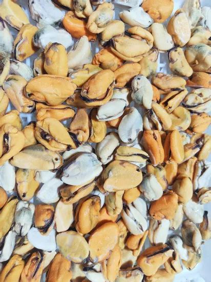 Seafood Frozen Shellfish Cooked Half Shell Mussel Mussel And Seafood