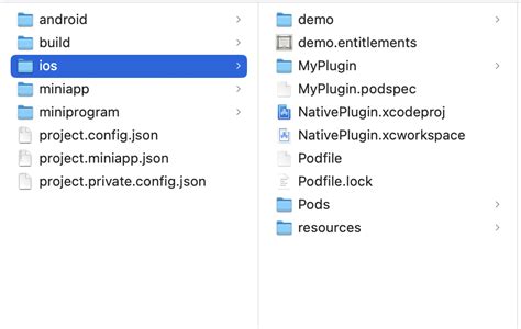 使用 CocoaPods 开发 iOS 插件 微信开放文档